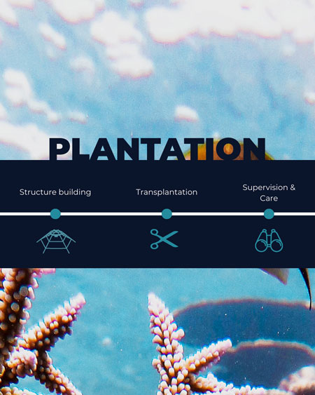 Adopt a Coral - The Coral Planters